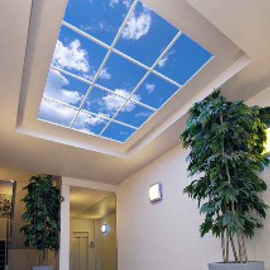 595x595 LED Sky Panel Ceiling Architectural Lighting Feature | Ultra ...